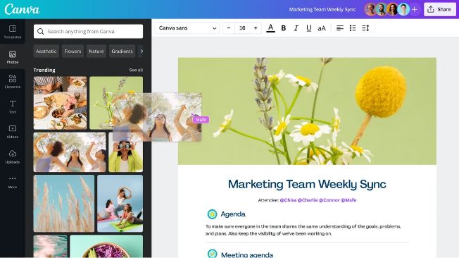 Canva Download App Search Engine